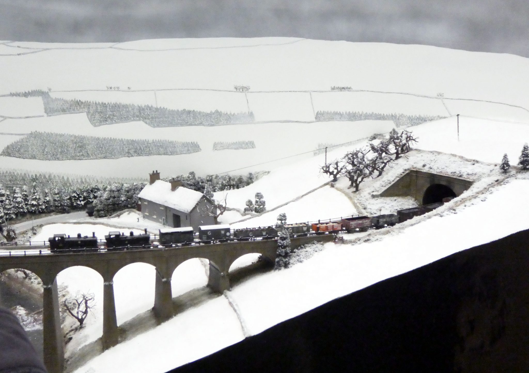 Layouts 2024 | F&DMRC